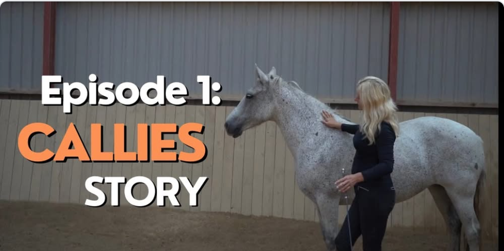 A Story of Callie the Horse and her Trainer – Fidelitos